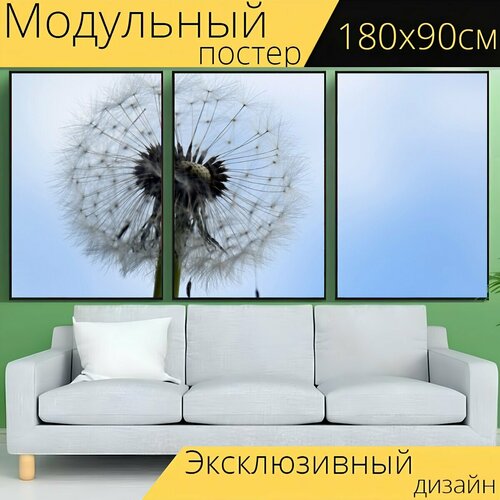 Модульный постер "Одуванчик, весна, природа" 180 x 90 см. для интерьера