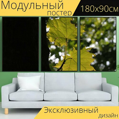 Модульный постер "Листья, контрасты, подсветка" 180 x 90 см. для интерьера