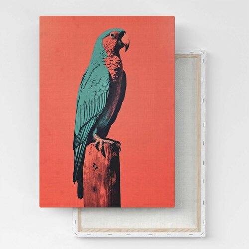 Картина на холсте, репродукция / Попугай / Размер 80 x 106 см