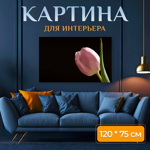 Картина на холсте "Тюльпан, розовый, цветок" на подрамнике 120х75 см. для интерьера
