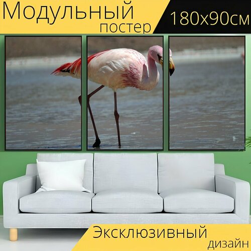 Модульный постер "Птицы, фламинго, розовый" 180 x 90 см. для интерьера