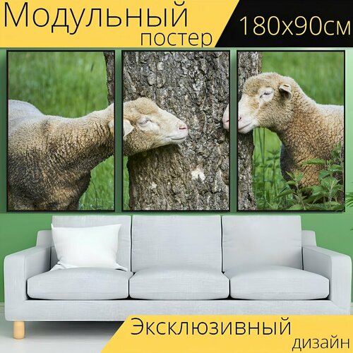 Модульный постер "Дерево, овец, пейзаж" 180 x 90 см. для интерьера