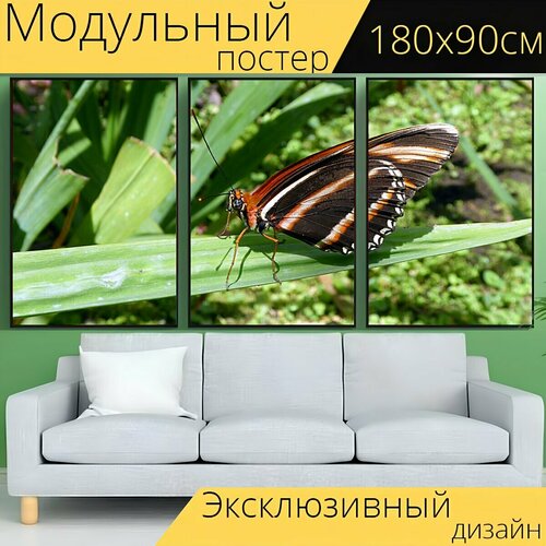 Модульный постер "Бабочка, насекомое, моль" 180 x 90 см. для интерьера
