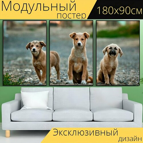 Модульный постер "Собаки, щенки, домашние питомцы" 180 x 90 см. для интерьера