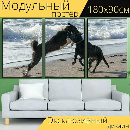 Модульный постер "Собаки, пляж, домашний питомец" 180 x 90 см. для интерьера