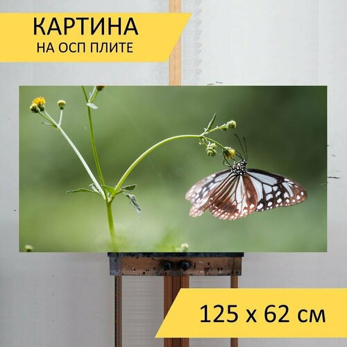 Картина на ОСП 125х62 см. "Япония, бабочка, насекомое" горизонтальная, для интерьера, с креплениями