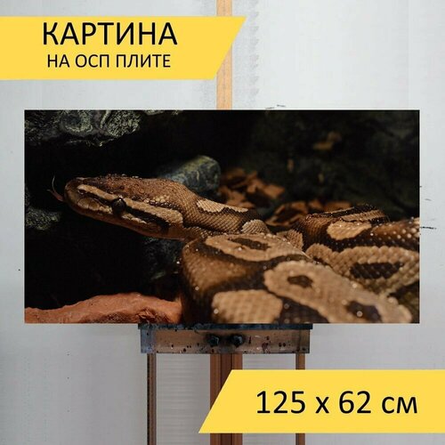 Картина на ОСП 125х62 см. "Змееголов, жёлтый, капля воды" горизонтальная, для интерьера, с креплениями
