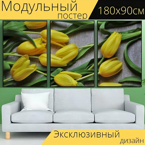 Модульный постер "Тюльпаны, желтый, фон" 180 x 90 см. для интерьера