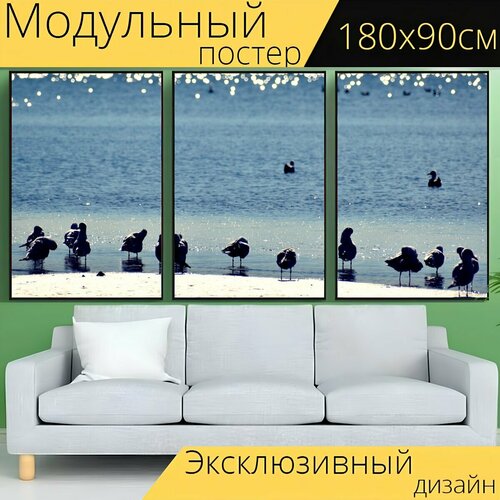 Модульный постер "Чайки, морской берег, птицы" 180 x 90 см. для интерьера