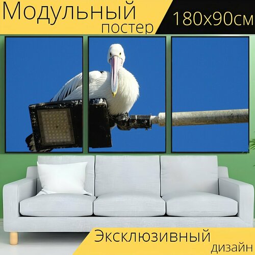 Модульный постер "Пеликан, клюв, перья" 180 x 90 см. для интерьера