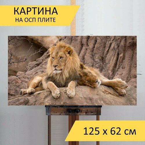 Картина на ОСП 125х62 см. "Львы, животные, зоопарк" горизонтальная, для интерьера, с креплениями