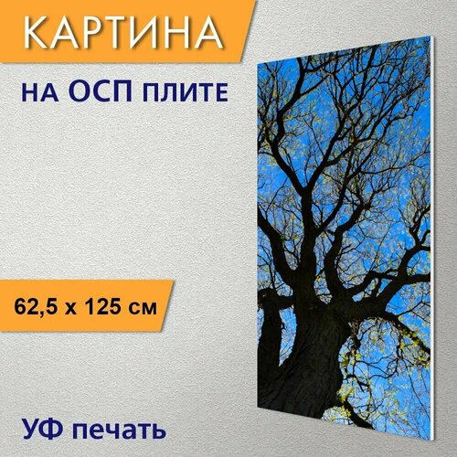 Вертикальная картина на ОСП "Дерево, филиал, природа" 62x125 см. для интерьериа