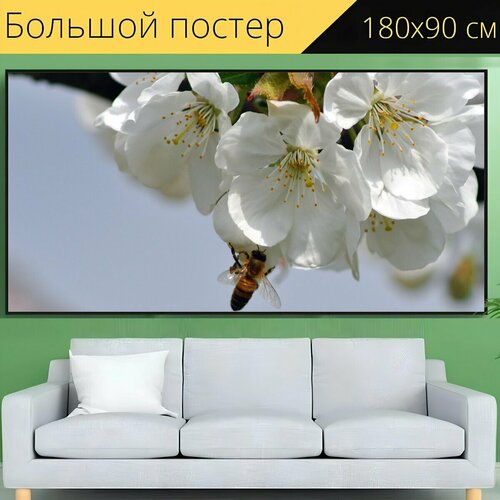 Большой постер "Цветок вишни, пчела, цветок" 180 x 90 см. для интерьера