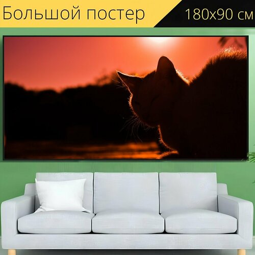 Большой постер "Заход солнца, кошка, тени" 180 x 90 см. для интерьера