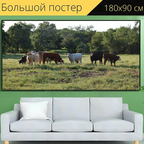 Большой постер "Корова, трава, ферма" 180 x 90 см. для интерьера