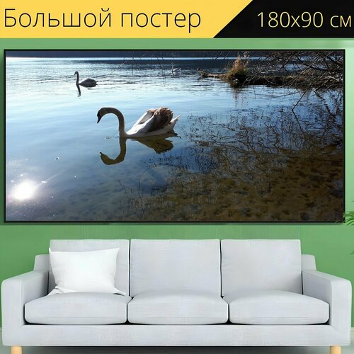 Большой постер "Лебеди, озеро, весна" 180 x 90 см. для интерьера