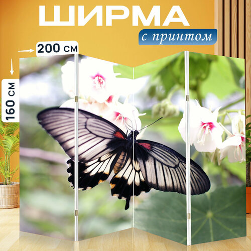 Ширма перегородка с принтом "Бабочка, крылья, цветы" на холсте - 200x160 см. для зонирования, раскладная