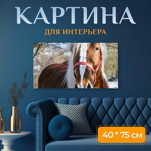 Картина на холсте "Лошадь, грива, кузнечик" на подрамнике 75х40 см. для интерьера