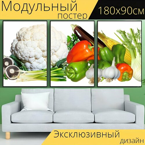Модульный постер "Овощи, смешанный, еда" 180 x 90 см. для интерьера