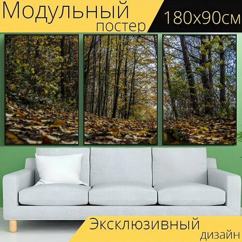 Модульный постер "Осень, лес, листья" 180 x 90 см. для интерьера