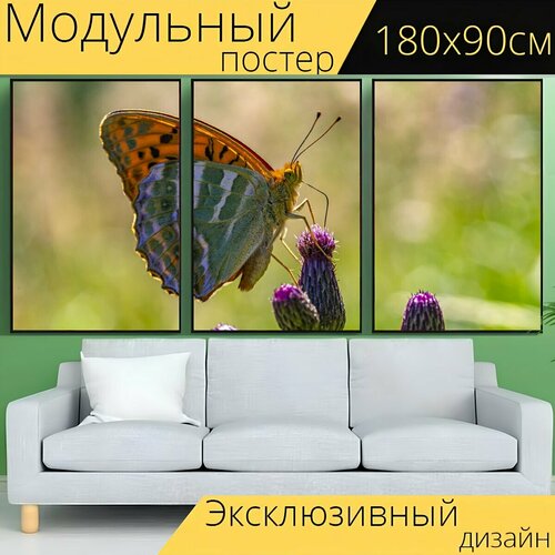Модульный постер "Насекомое, бабочка, крыло" 180 x 90 см. для интерьера