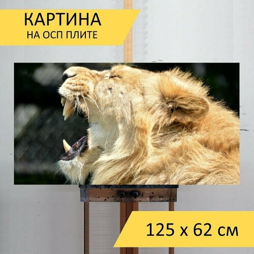Картина на ОСП 125х62 см. "Лев, животное, млекопитающее" горизонтальная, для интерьера, с креплениями
