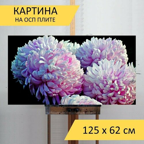 Картина на ОСП 125х62 см. "Хризантемы, цветы, красочные" горизонтальная, для интерьера, с креплениями