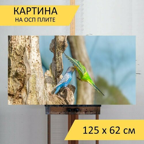 Картина на ОСП 125х62 см. "Попугай, попугаи, синий" горизонтальная, для интерьера, с креплениями