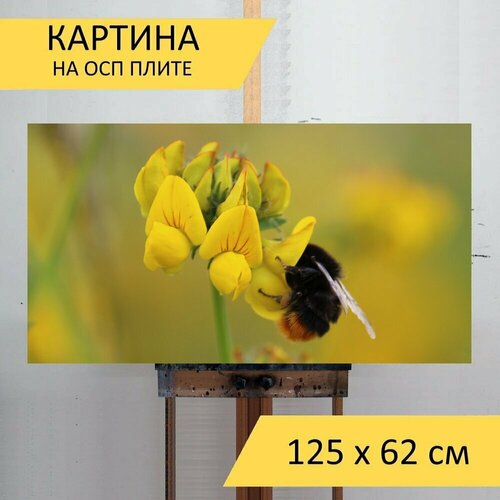 Картина на ОСП 125х62 см. "Шмель, желтый, цветок" горизонтальная, для интерьера, с креплениями