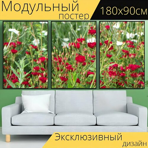 Модульный постер "Полевые цветы, природа, на открытом воздухе" 180 x 90 см. для интерьера