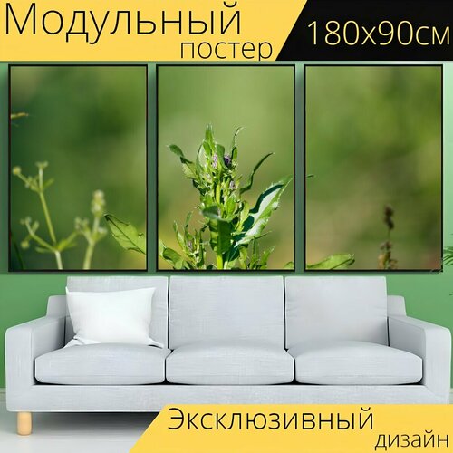 Модульный постер "Трава, стебли, зеленый" 180 x 90 см. для интерьера