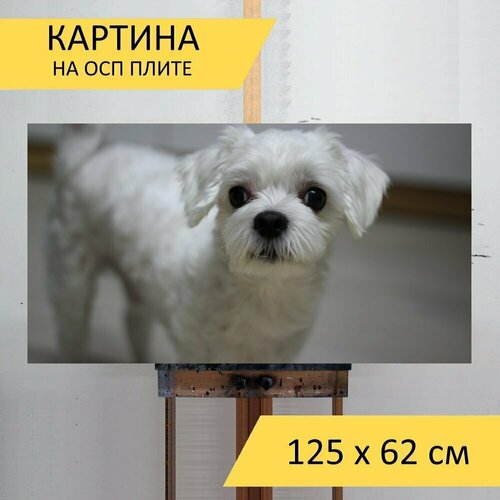 Картина на ОСП 125х62 см. "Собака, щенок, животное" горизонтальная, для интерьера, с креплениями
