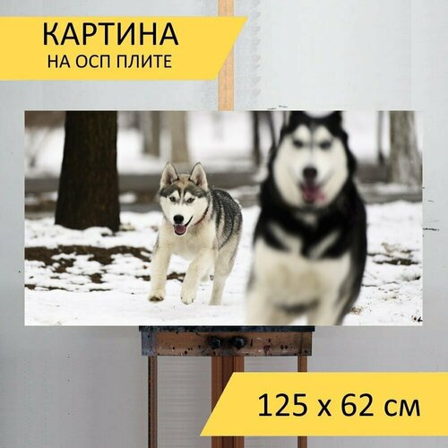 Картина на ОСП 125х62 см. "Собака, кинолог, млекопитающее" горизонтальная, для интерьера, с креплениями