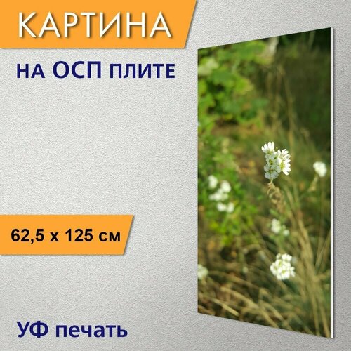Вертикальная картина на ОСП "Лес, цветы, природа" 62x125 см. для интерьериа
