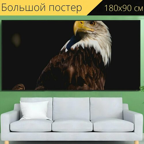 Большой постер "Орел, птица, хищник" 180 x 90 см. для интерьера