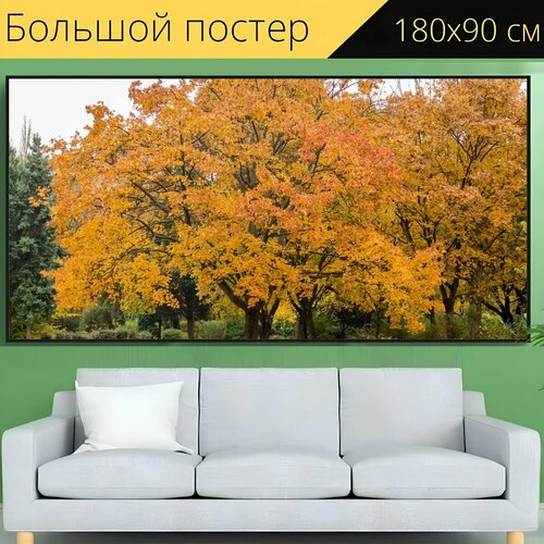Большой постер "Маргит осенью, природа фото, будапешт" 180 x 90 см. для интерьера