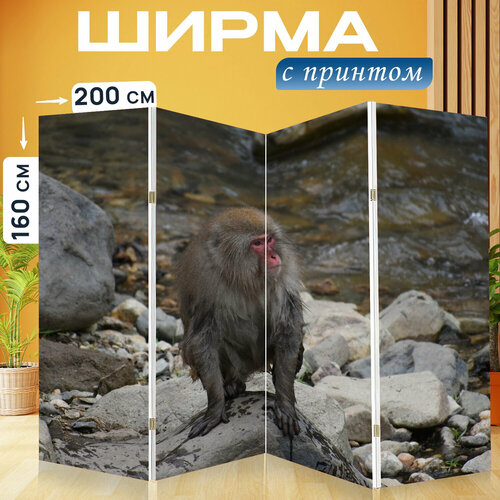 Ширма перегородка с принтом "Животное, обезьяна, детские японские макаки едят листья" на холсте - 200x160 см. для зонирования, раскладная