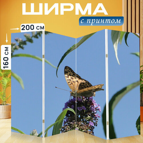 Ширма перегородка с принтом "Бабочка, небо, природа" на холсте - 200x160 см. для зонирования, раскладная
