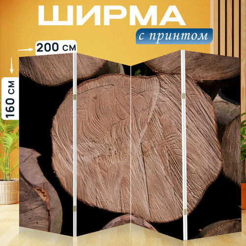 Ширма перегородка с принтом "Дерево, текстура, лес" на холсте - 200x160 см. для зонирования, раскладная