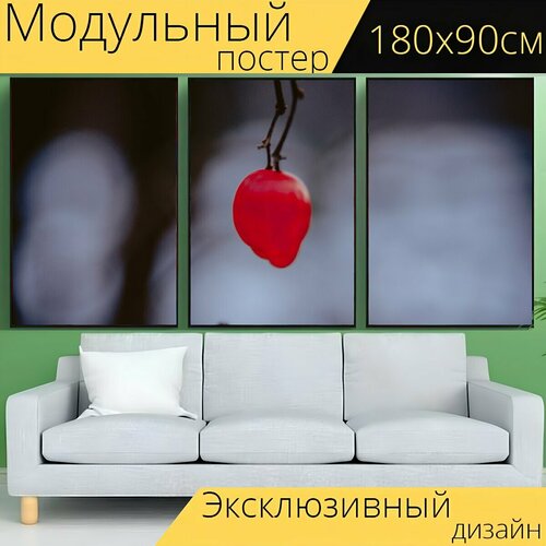 Модульный постер "Зима, ягода, куст" 180 x 90 см. для интерьера