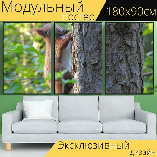 Модульный постер "Белка, лес, природа" 180 x 90 см. для интерьера