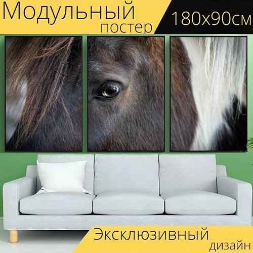 Модульный постер "Лошадь, голова, глаз" 180 x 90 см. для интерьера