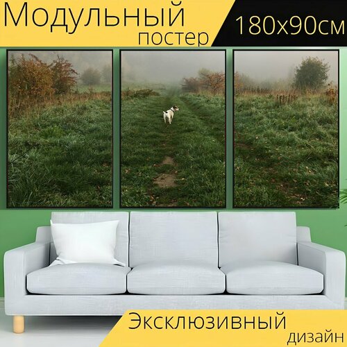 Модульный постер "Утро, собака, растения" 180 x 90 см. для интерьера