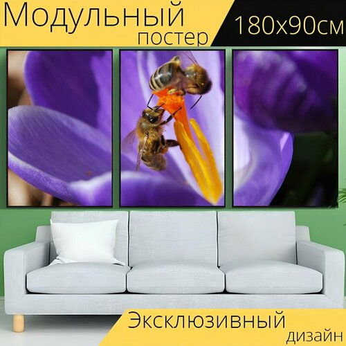 Модульный постер "Крокус, пчела, весна" 180 x 90 см. для интерьера
