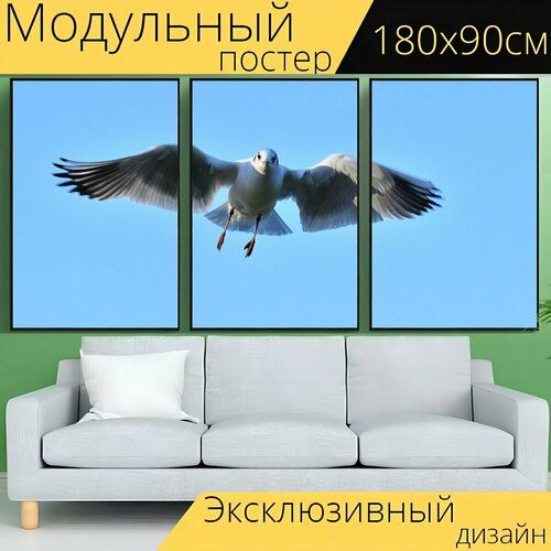Модульный постер "Чайка, в полете, птица" 180 x 90 см. для интерьера