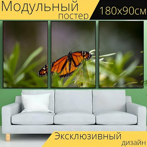 Модульный постер "Простой тигр, данай хрисипп, бабочка" 180 x 90 см. для интерьера