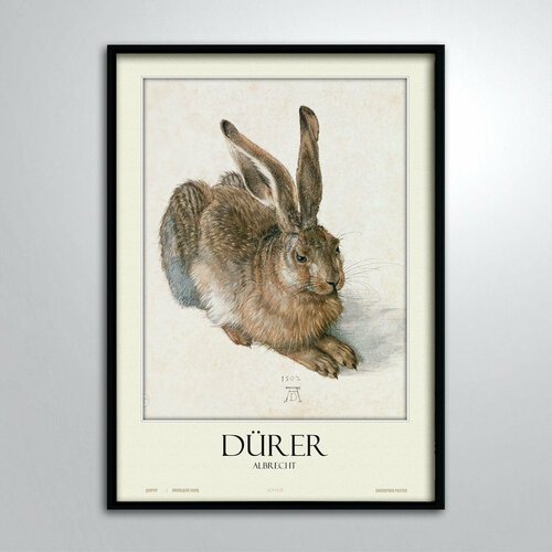 Постер в раме/Картина на стену/Альбрехт Дюрер Молодой заяц