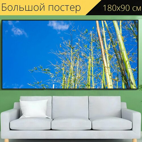 Большой постер "Бамбук, небо, природа" 180 x 90 см. для интерьера