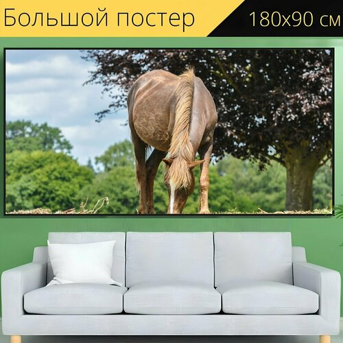 Большой постер "Нью форест пони, лошадь, дикий" 180 x 90 см. для интерьера