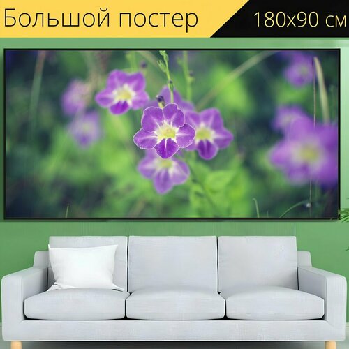 Большой постер "Фиолетовый цветок, тропический цветок, цветок" 180 x 90 см. для интерьера